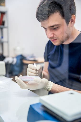젊은 연구원 준비 실리콘 흑연 입자에 대 한 기초 및 연구에 대 한 샘플을 만들 Stem 주제에 대한 스톡 사진 및 기타 이미지 Stem 주제 과학 과학 실험 시료