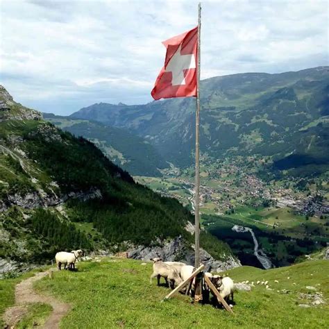 그린델발트행 기차는 1160부터 출발합니다