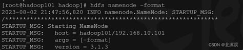 （十一）大数据实战——hadoop高可用之hdfs手动模式高可用hdfs 手动复制 Bootstrapstandby Csdn博客