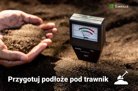 Jak przygotować ziemię pod wysiew trawy Emeralld