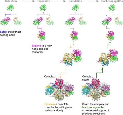 Monte Carlo Tree Search Starting From A Node Subcomplex A New Node Is