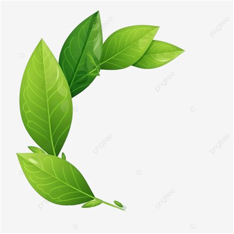 Simple Leaf Banner Vector Illustration Leaf Branch Botanical Png