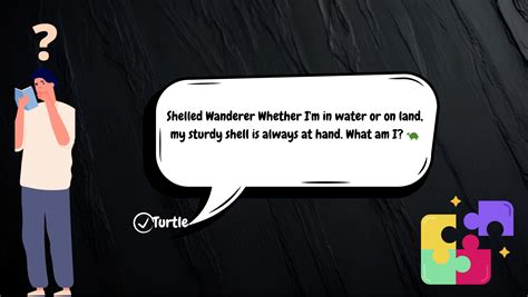 Turtle Riddles To Put Your Mind To The Test Brainy Fun