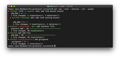 Version Control And Git From Zero To Hero Part 71 Branch Management