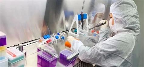 你是否理解化验单上的“单核细胞”是什么呢？ 知乎