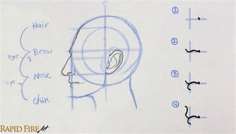 Profile Drawing Tutorial
