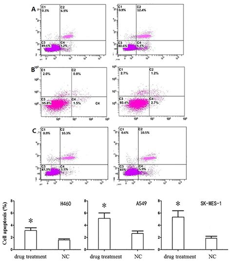 Effects Of Pf 4708671 On Nsclc Cell Apoptosis Download Scientific