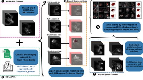 Comparing Conditional Diffusion Models For Synthesizing Contrast