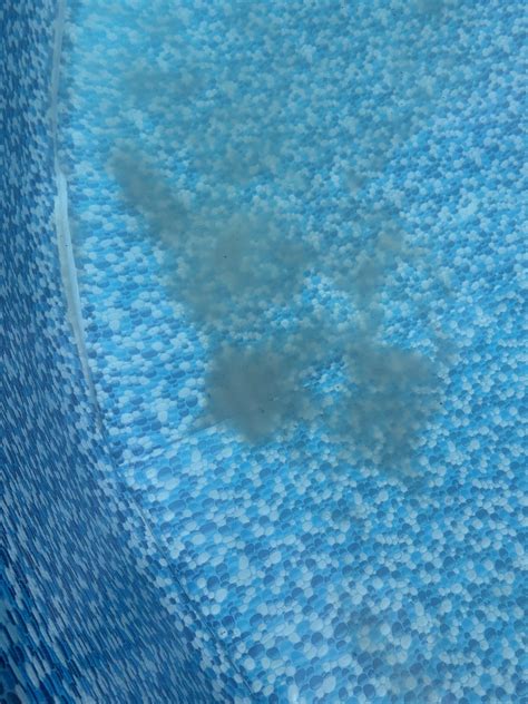 White Flakes At Bottom Of Salt Water Pool At Caitlyn Lavater Blog