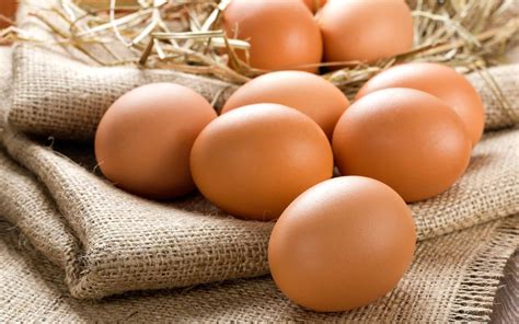 26 Chicken Breeds That Lay Brown Eggs A Z Animals