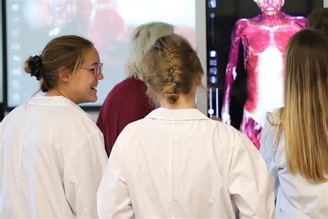 New 3d Digital Cadaver Lab Provides Access To Hundreds Of Human