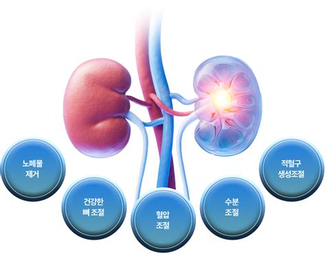 신장 질환 페이지 이루신내과