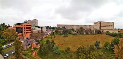 Wits Faculty Of Health Sciences