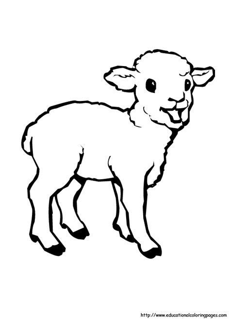 حیوانات اهلی رنگ آمیزی