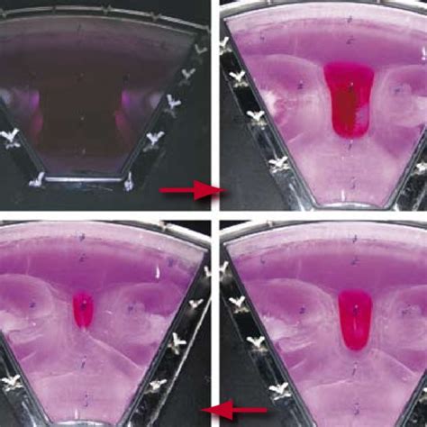 Pdf Large Scale Freezing Of Biologics A Practitioners Review Part