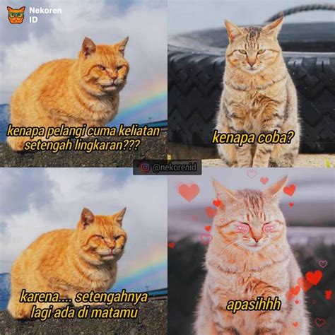 7 Meme Kucing Saat PDKT Ini Kocak Bikin Ngakak Hot Liputan6