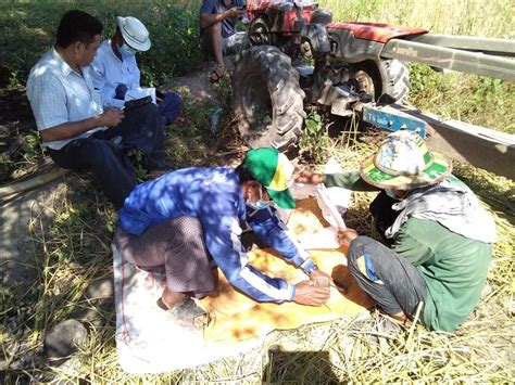 စုကလိမြို့၌ Cerp အစီအစဉ်ဖြင့် ဆောင်ရွက်သော Cs Rs ဆင်းသုခ မျိုးစေ့ထုတ