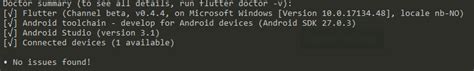 No Maindart File Essentially An Empty Project When Making A New