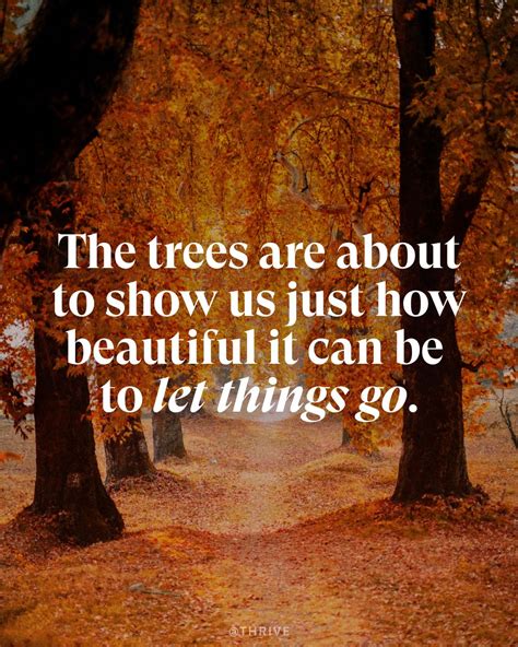 Thrive Global On Linkedin Happy First Day Of Fall As The Leaves Fall