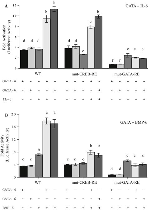 Gata Proteins 4 And 6 Up Regulate The Cytokine Il 6 And Bmp 6 Induced Download Scientific