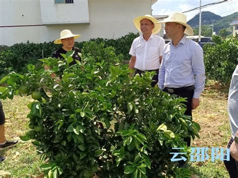 市农业农村局邵阳市人民政府