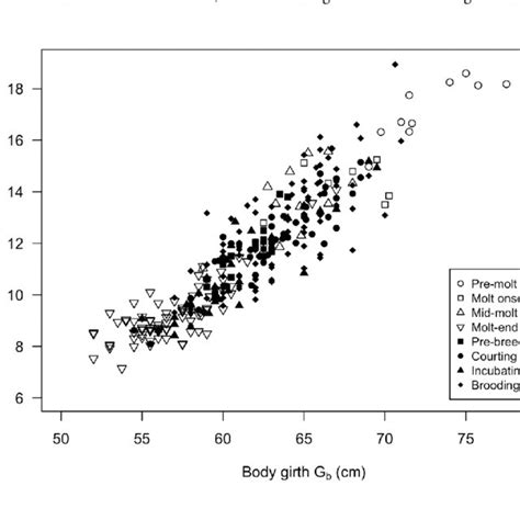 Relationship Between Body Mass M B And Body Girth G B In King