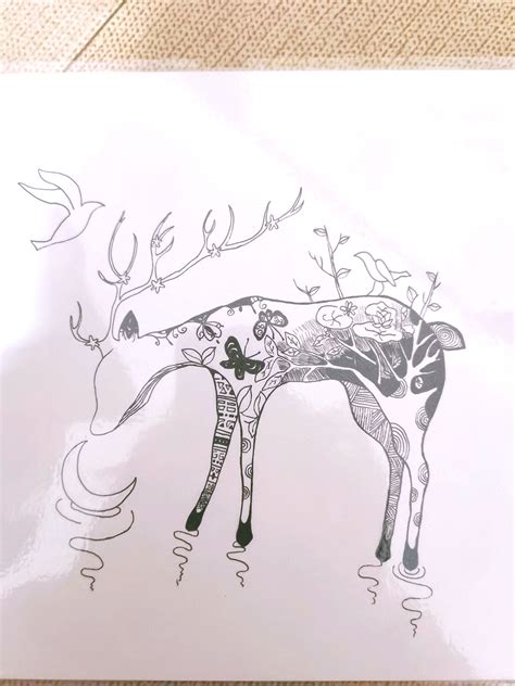 插画 眼角眉梢温柔野 站酷ZCOOL