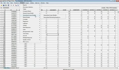 Spssdemopoissonpart1avi Youtube