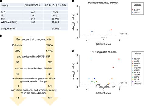 Using Chromatin Interaction Data To Predict Enhancer Target Genes A