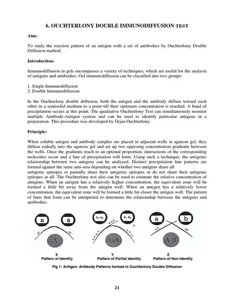 Double Immunodiffusion Test Pdf Antibody Polyclonal B Cell Response