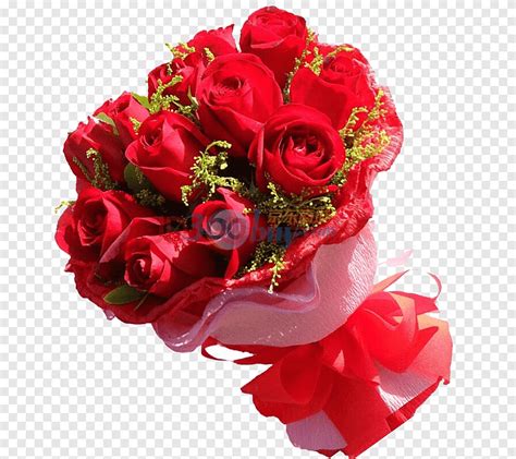 꽃 포스터 장미 크리에이티브 꽃꽂이 플로리 분다 Png Pngegg