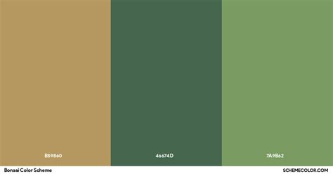 Bonsai Color Scheme Palettes