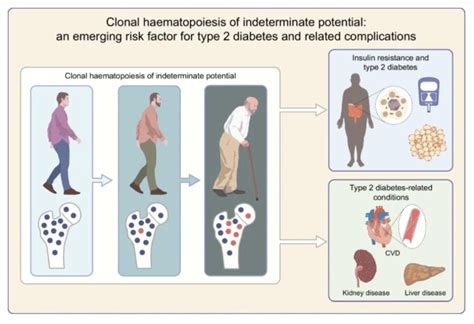 Clonal Haematopoiesis Of Indeterminate Potential An Emerging Risk
