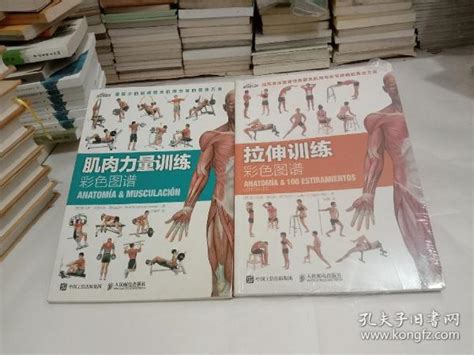 肌肉力量训练彩色图谱 拉伸训练彩色图谱 [西]吉耶尔莫·赛哈斯·阿尔比尔 等 孔夫子旧书网