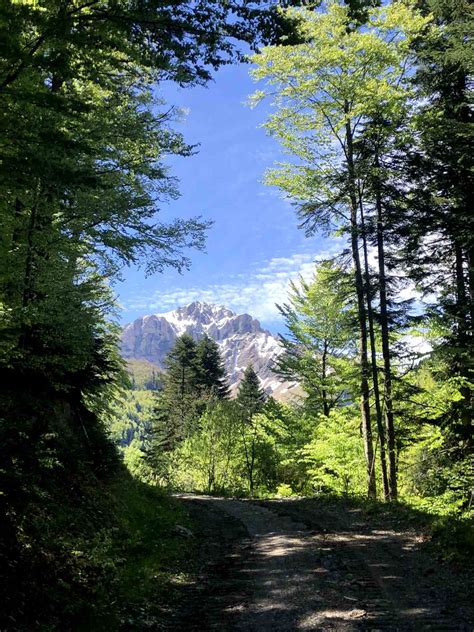 Шар Планина прогласена за национален парк Portret Digital