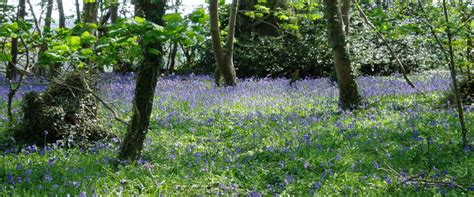 Dorset Lnp Position Papers Dorset Local Nature Partnership