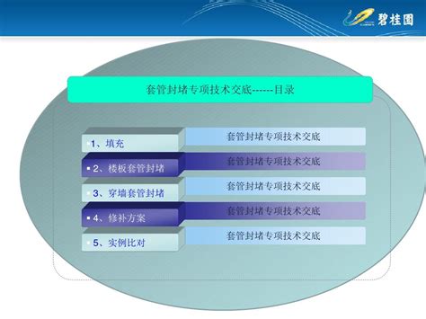 套管封堵专项技术交底word文档在线阅读与下载免费文档