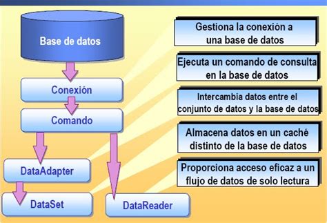 Visual Acceso A Datos Con Adonet