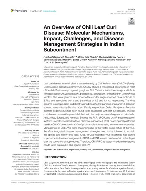 PDF An Overview Of Chili Leaf Curl Disease Molecular Mechanisms