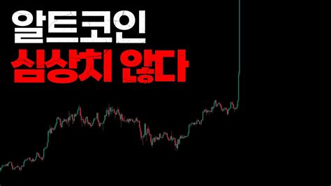 비트코인 알트코인 곧 미친 듯이 폭발합니다 Youtube
