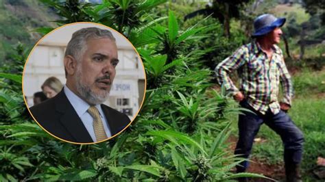 Iván Duque Se Unió A Polémica Por Decreto Que Reglamentaría Tenencia Y