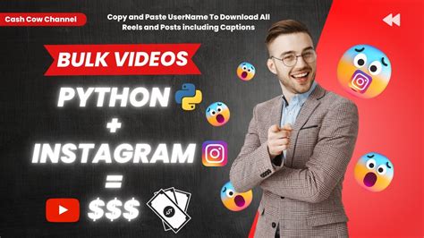 Download Instagram Bulk Videos Using Python Instagram Automation