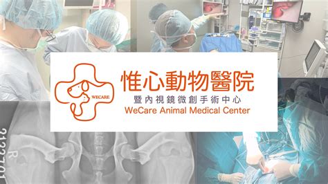 惟心動物醫院暨內視鏡微 惟心動物醫院暨內視鏡微創手術中心 Wecare Animal Medical Center