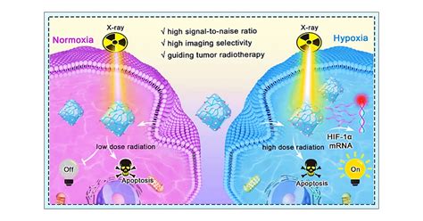 Metalorganic Framework Derived Multifunctional Nucleic Acid Nanoprobes