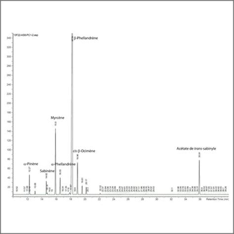 Gas Chromatography With FID TCD MS Detectors CET Scientific Services Pte Ltd