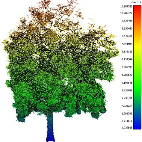 Point Cloud Isolated Of A Tree The Points Were Obtained From The Download Scientific Diagram