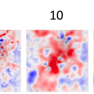 The Flowchart Of Deep Learning Model To Classify Skin Lesions 2