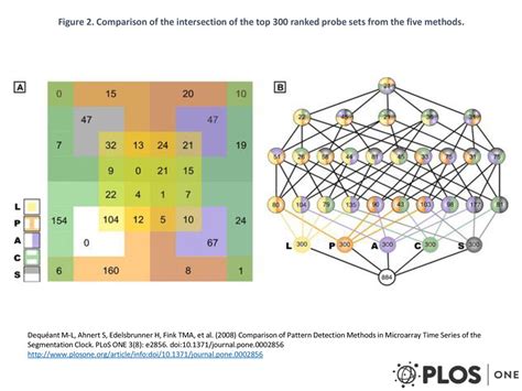 Plosone Orgarticleinfo3adoi2f 2fjournal Pone Ppt Download