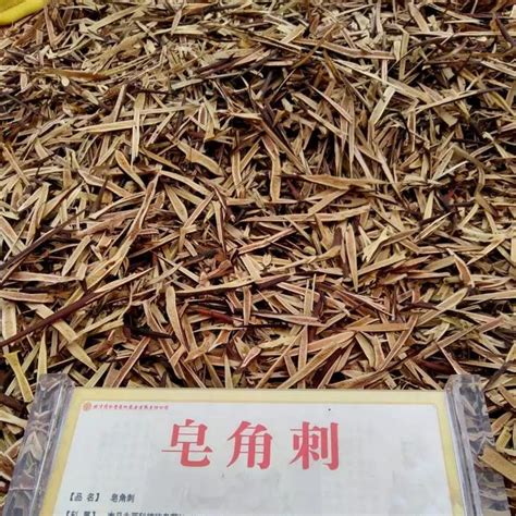 皂角刺价格 皂角刺的药用价值 皂角刺的功效