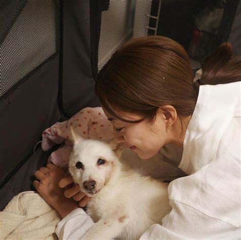 高垣麗子さんのインスタグラム写真 高垣麗子instagram「 傾いてしまうので体の半分に傷ができてしまうのだけど、さくら、日々
